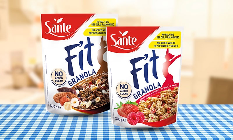 Fit Granola Sante 300g - Sante